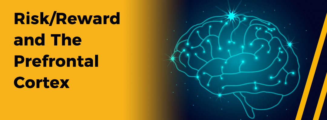 The Neuroscience Of Trust - Louis Carter